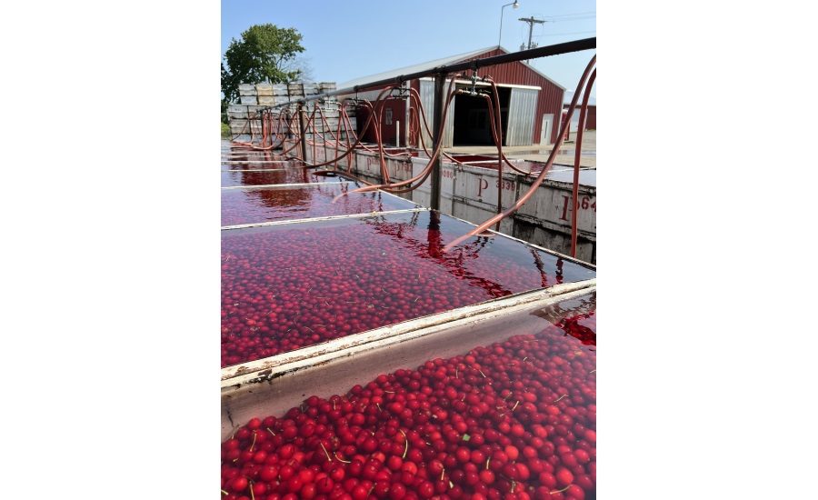 Puratos USA introduces Field to Fork Fruit Experience | Snack Food ...