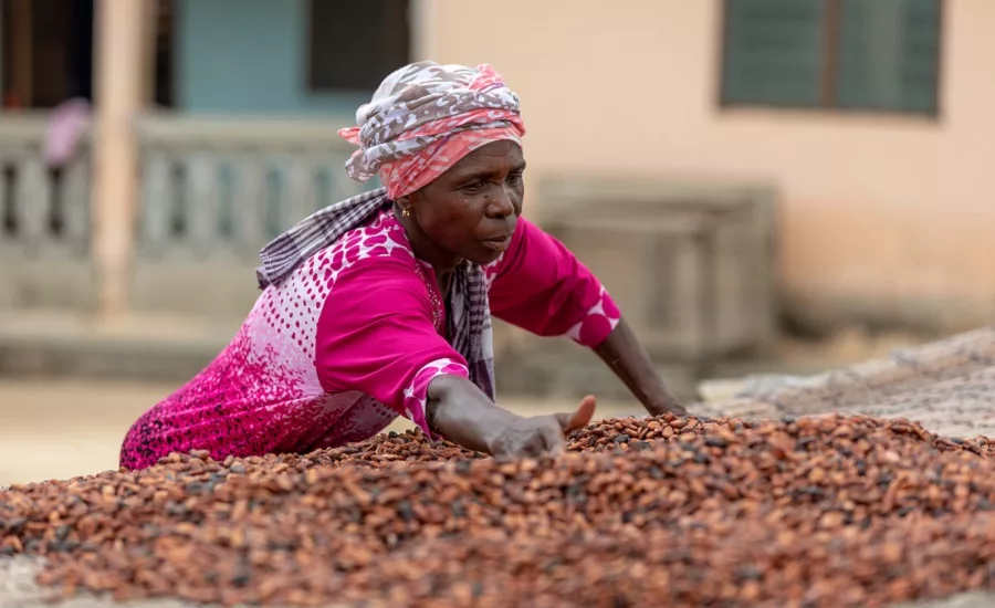 Cargill Cocoa Promise looks back on 10 years of helping farmers | Snack ...