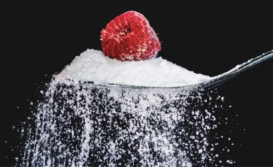 Icon Foods releases 2025 Ingredient Outlook report | Snack Food ...