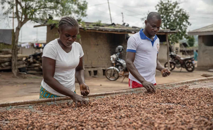 Producers strengthen the power of women in cocoa: Mars | Snack Food ...