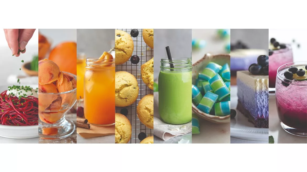 GNT introduces ‘Power of Color’ research | Snack Food & Wholesale Bakery